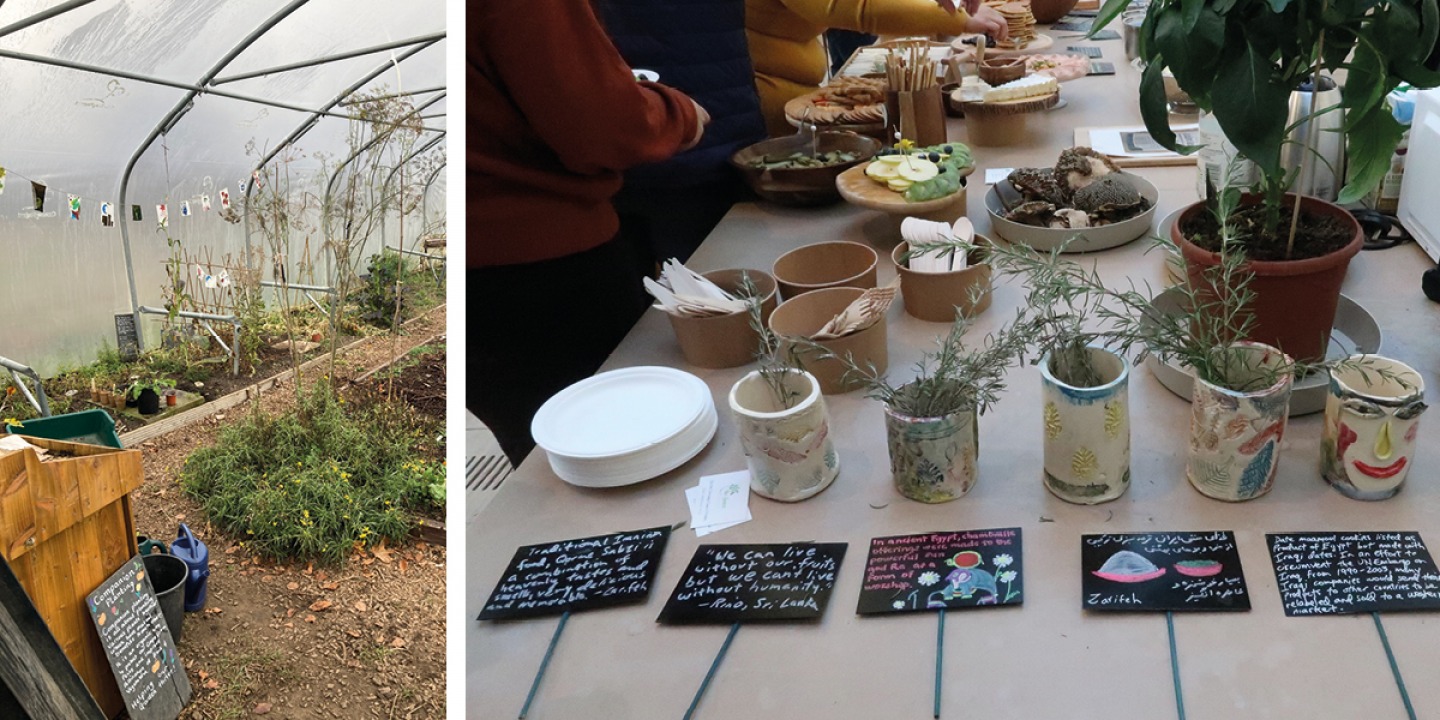 Read About the Comfrey Project, a Charity Using Allotments and Gardening to Help Asylum Seekers ...